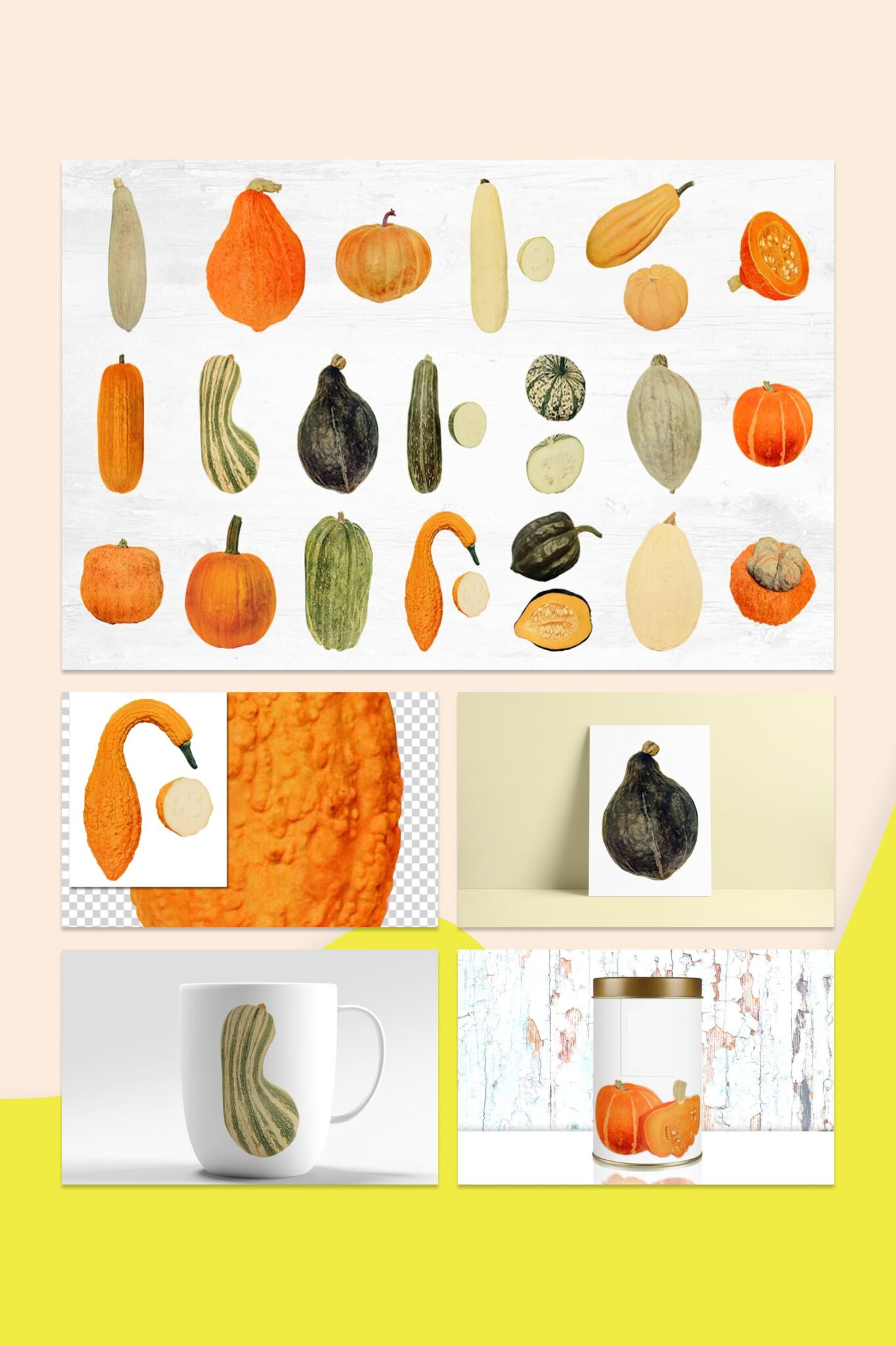 Pumpkin Clipart Bundle (20) – MasterBundles