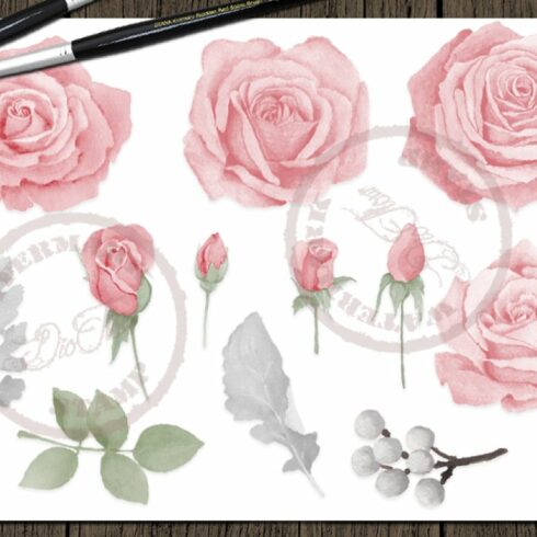 Rose And Grey Watercolor Clip Art | Master Bundles