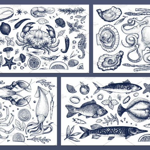 Seafood Vector Collection – MasterBundles