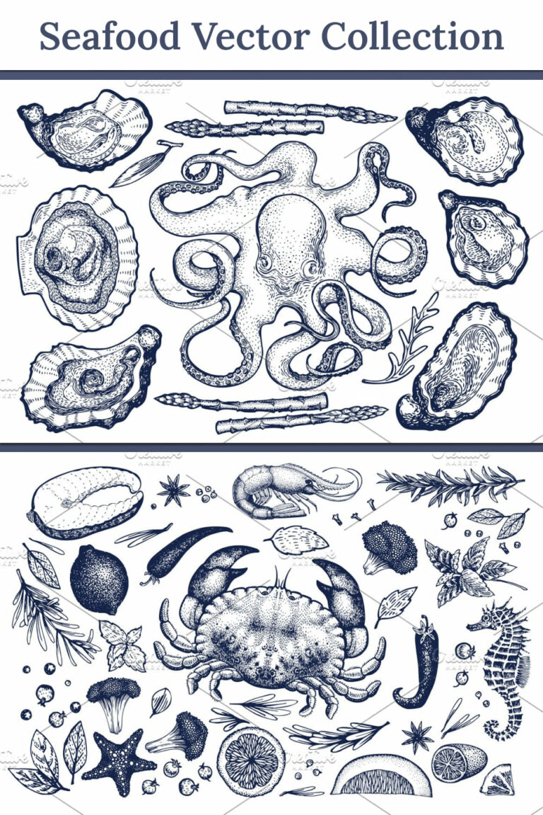 Seafood Vector Collection – MasterBundles
