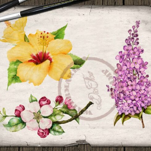 US State Flowers Part 2 Illustration | Master Bundles