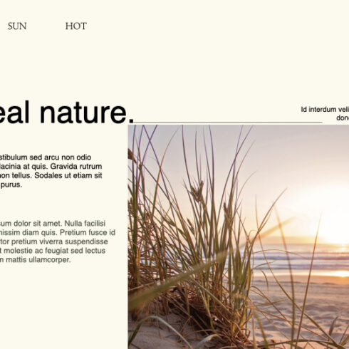 Summer Themed Powerpoint Template | Master Bundles