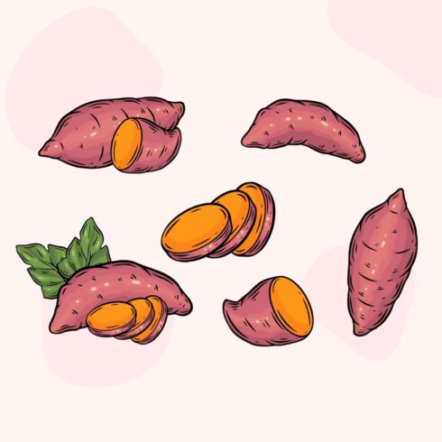 Sweet Potato Vector Set. EPS – MasterBundles