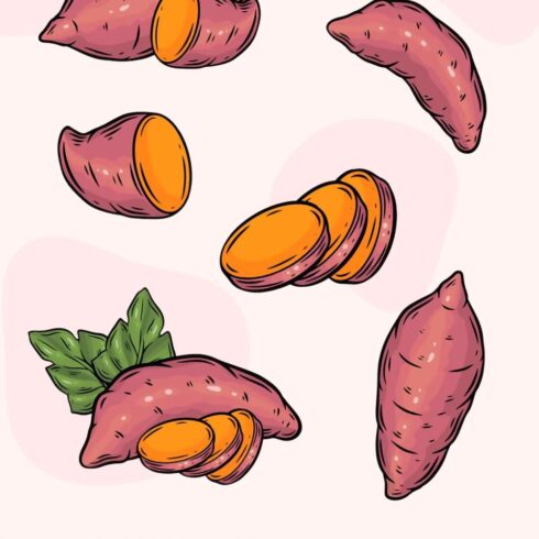 Sweet Potato Vector Set. EPS | Master Bundles