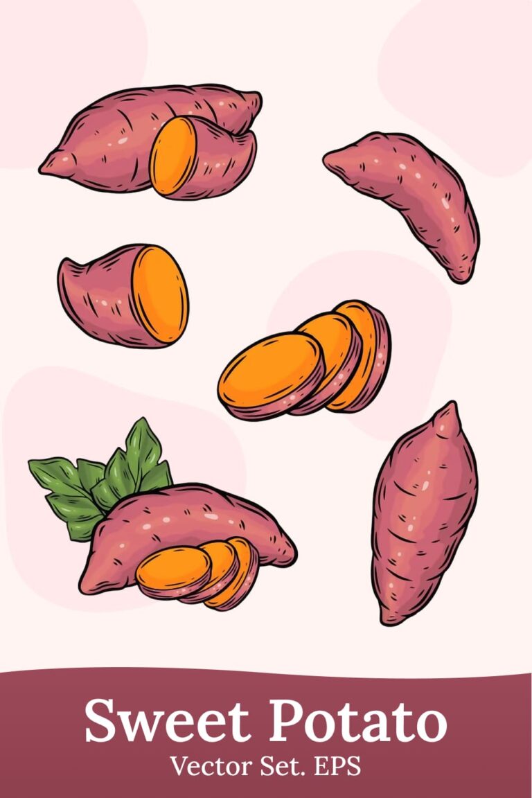 Sweet Potato Vector Set. EPS – MasterBundles