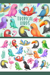 Tropical Birds Watercolor Clipart – MasterBundles