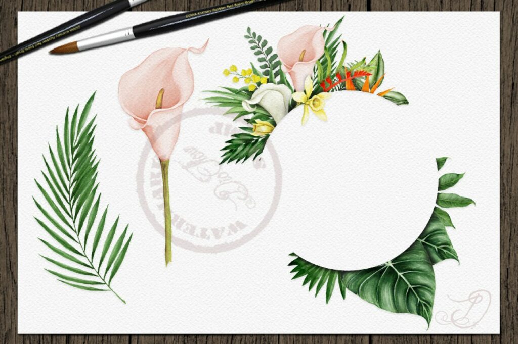 Tropical Frames Illustration – MasterBundles