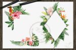 Tropical Frames Illustration – MasterBundles