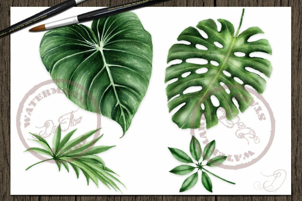 Tropical Leaves Watercolor Clip Art – MasterBundles