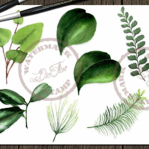 Tropical Leaves Watercolor Clip Art | Master Bundles