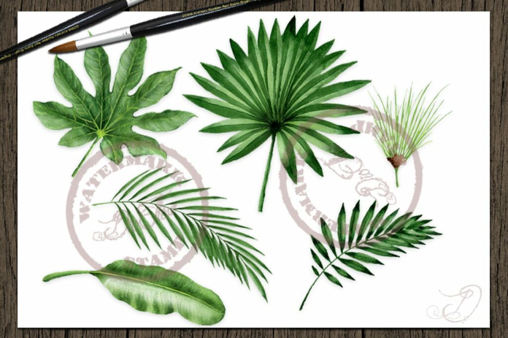 Tropical Leaves Watercolor Clip Art – MasterBundles