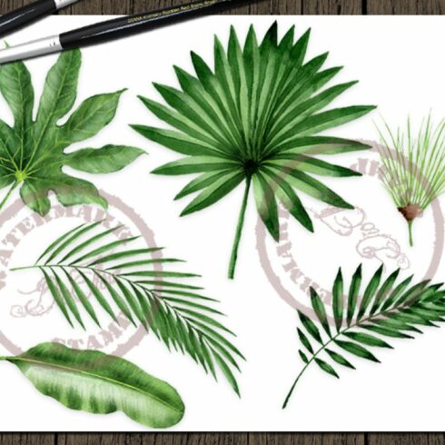 Tropical Leaves Watercolor Clip Art | Master Bundles