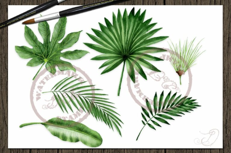 Tropical Leaves Watercolor Clip Art – MasterBundles