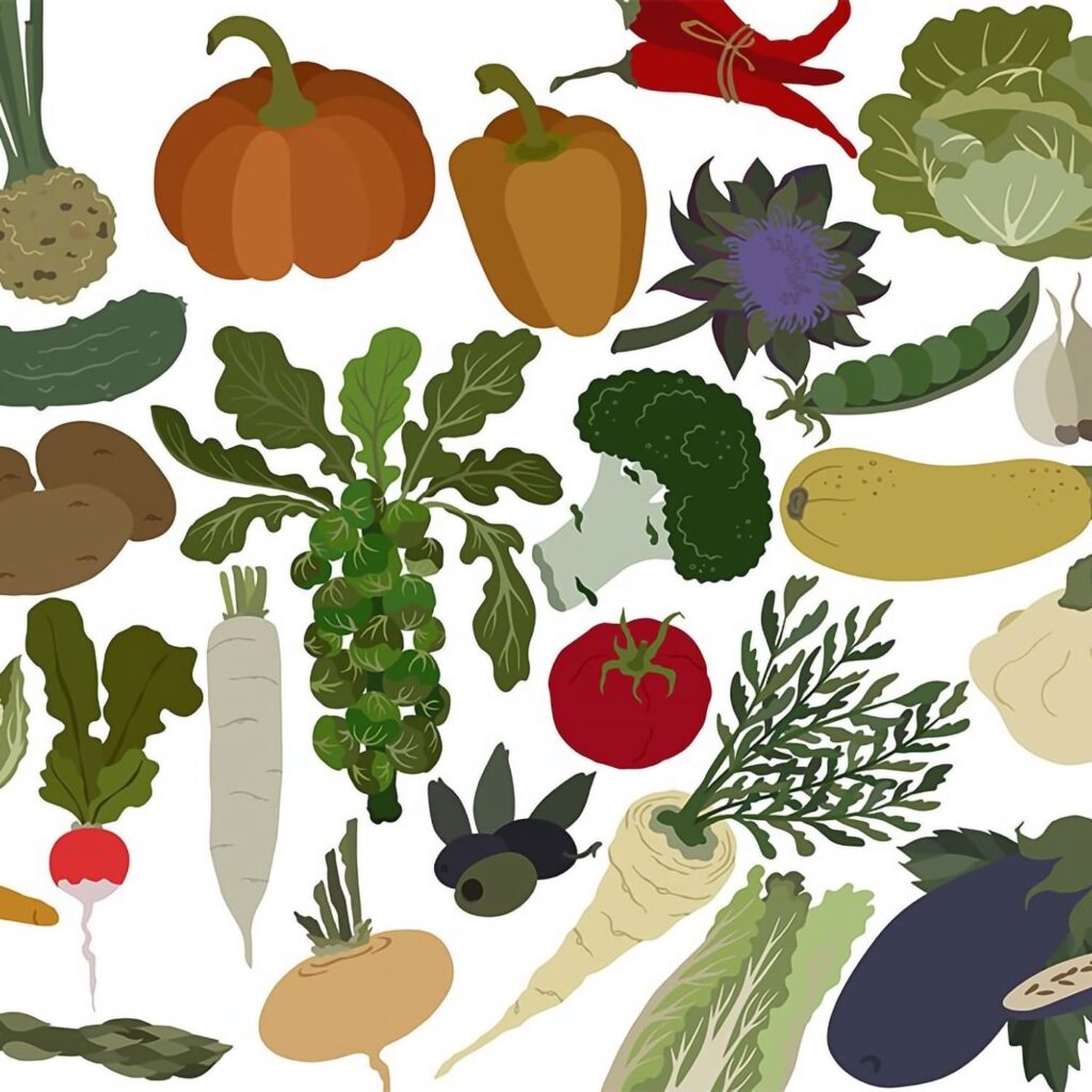 Vector Vegetables – MasterBundles