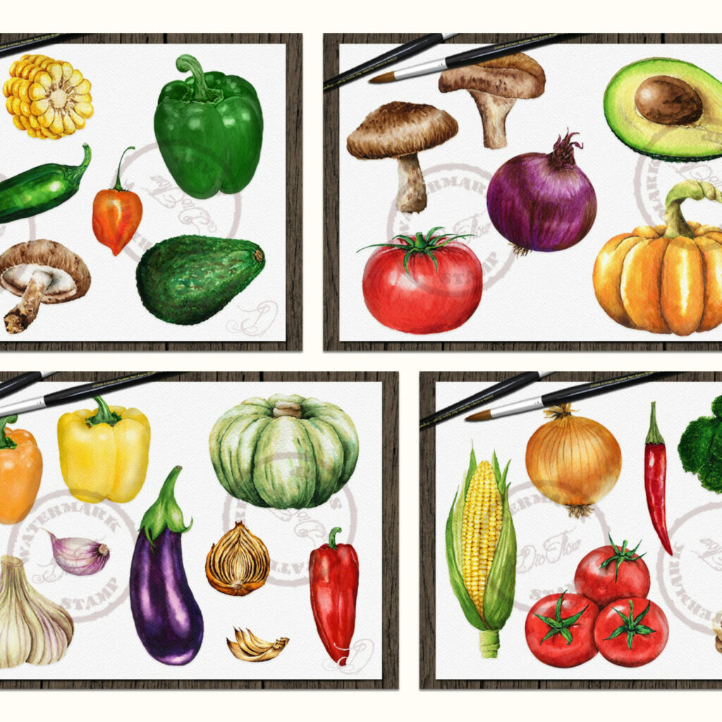 Vegetable Watercolor Illustration – MasterBundles