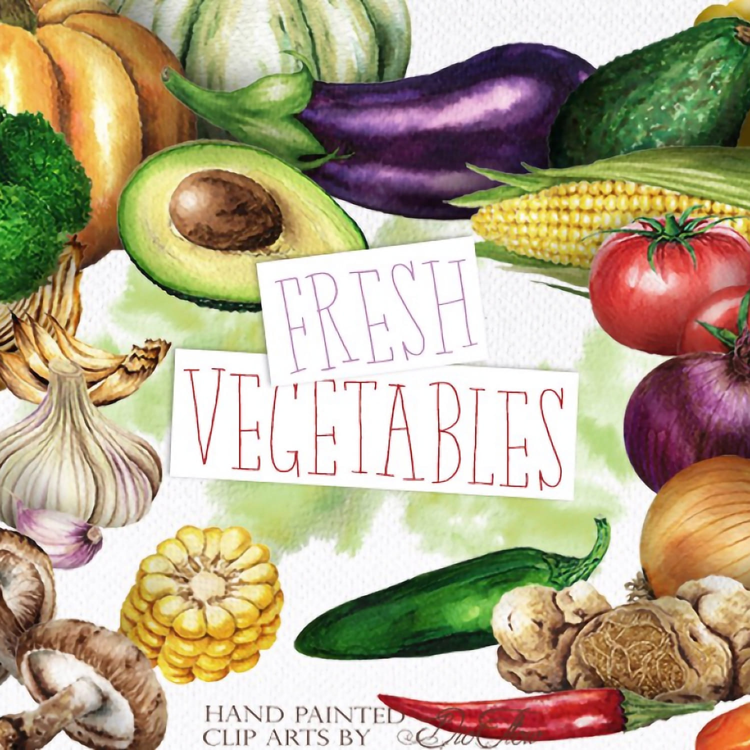 Vegetable Watercolor Illustration – MasterBundles