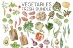 Vegetables Bundle – MasterBundles