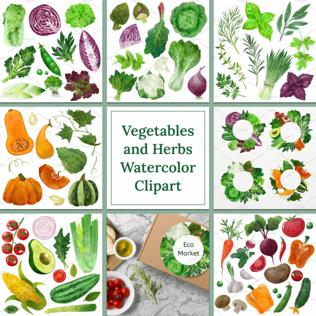 Vegetables, Herbs Watercolor Clipart – MasterBundles