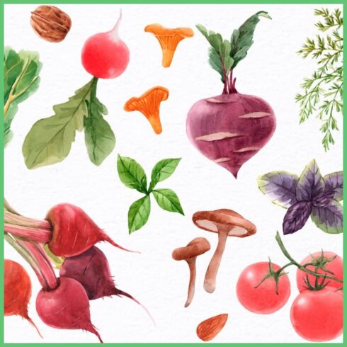 "Vegetables" PNG Set – MasterBundles