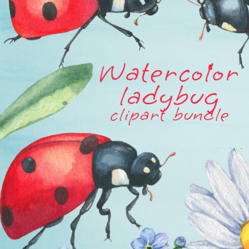 Watercolor Ladybug Clipart Bundle | Master Bundles
