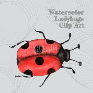 Watercolor Ladybugs Clip Art – MasterBundles