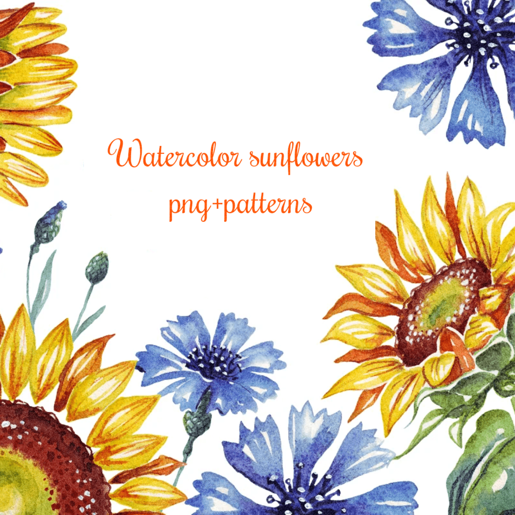 Watercolor Sunflowers PNG + Patterns - MasterBundles