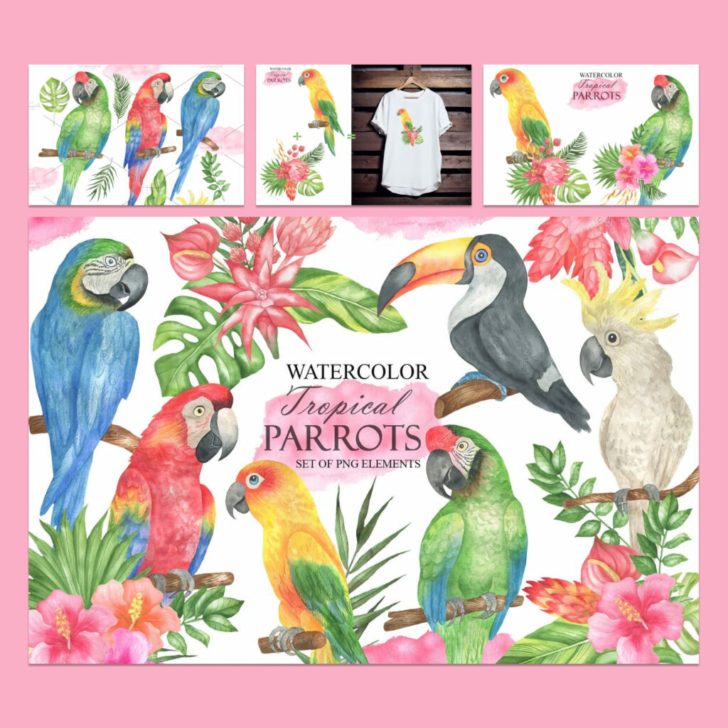 Watercolor Tropical Parrots – MasterBundles