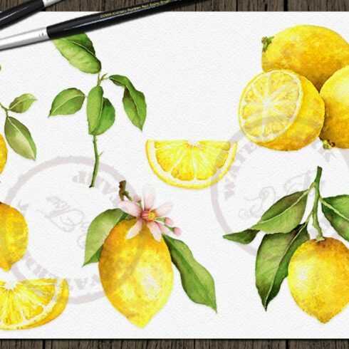 Watercolor Lemon Clip Art | Master Bundles