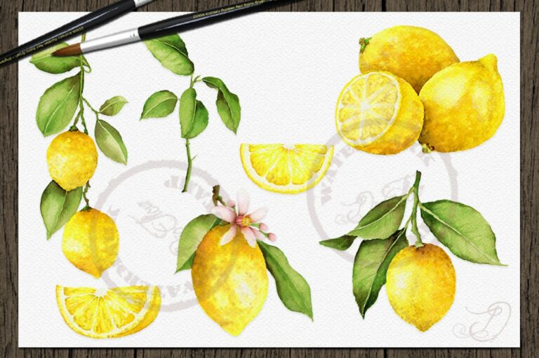 Watercolor Lemon Clip Art – MasterBundles