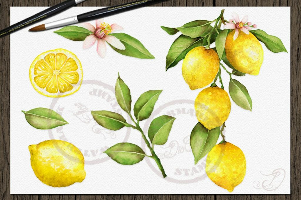 Watercolor Lemon Clip Art – MasterBundles