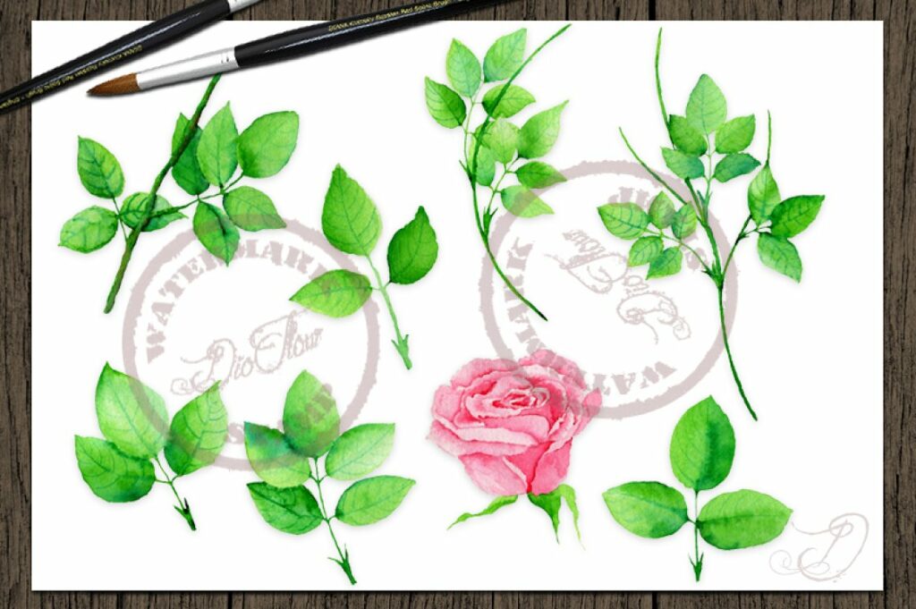 Rose Watercolor Clip Art – MasterBundles