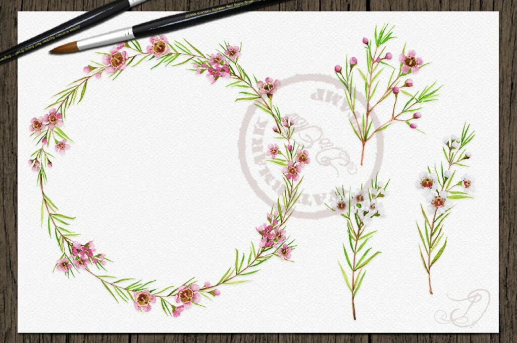 Wax Flowers Watercolor Clip Art – MasterBundles