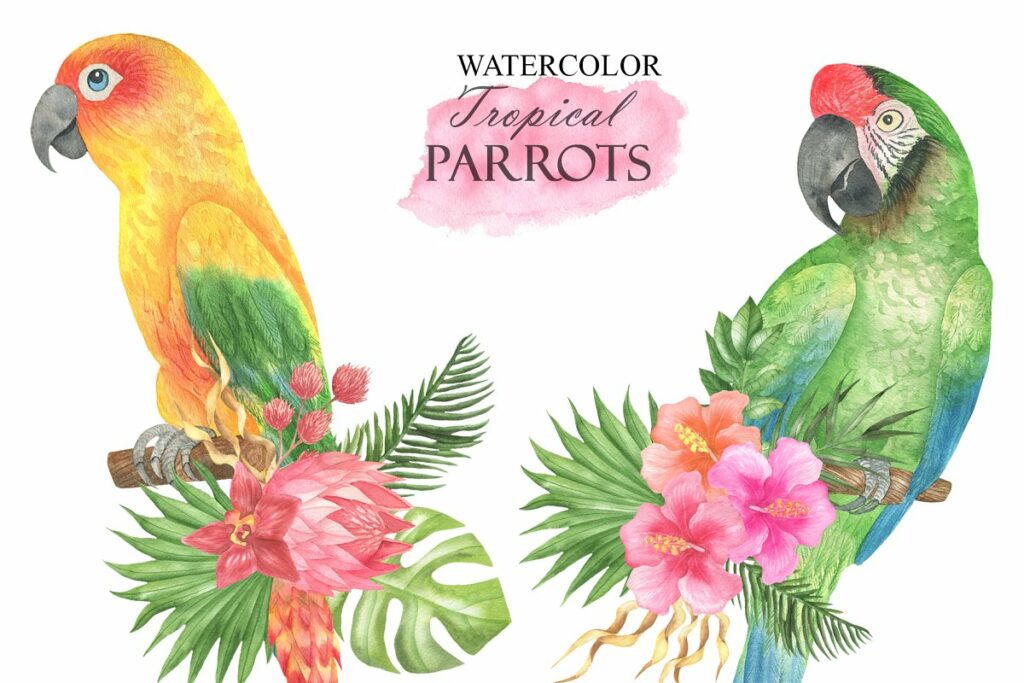 Watercolor Tropical Parrots – MasterBundles