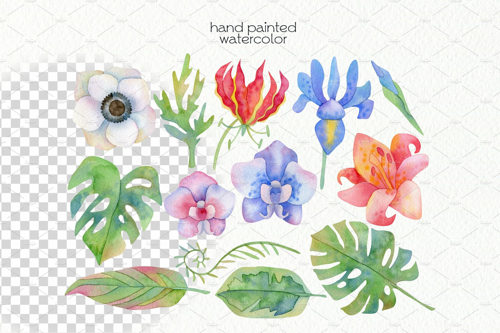 Watercolor Tropical Clipart – MasterBundles