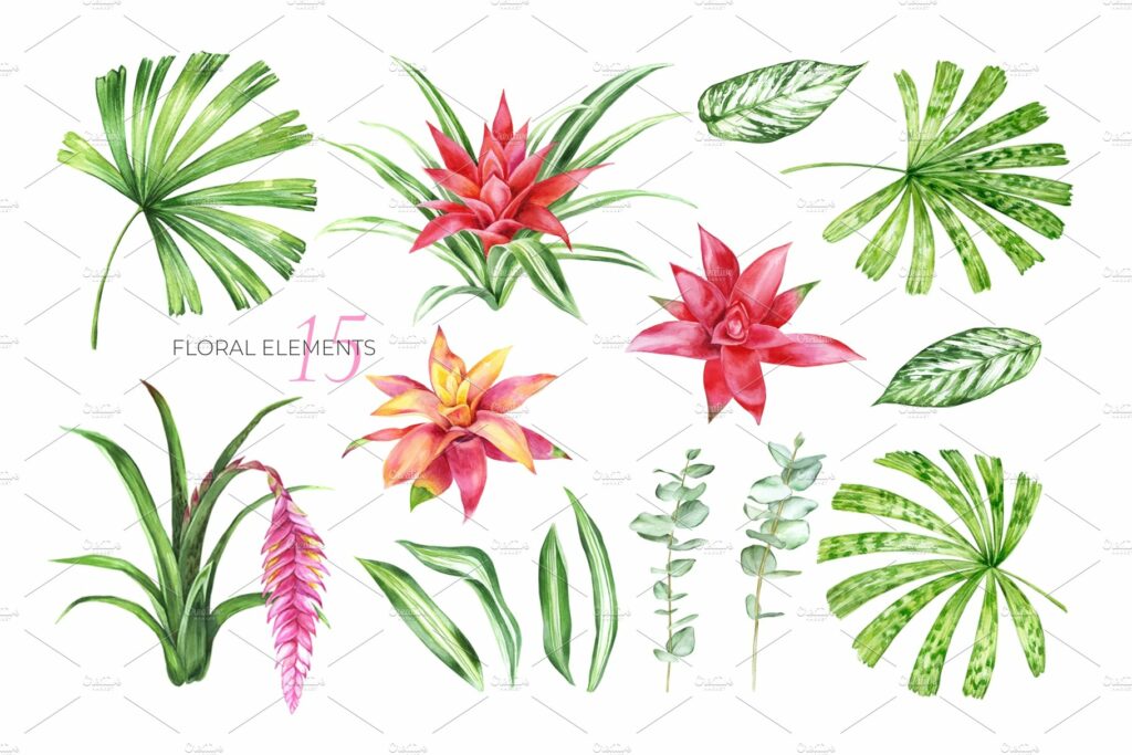 Tropical Plants Clipart – MasterBundles