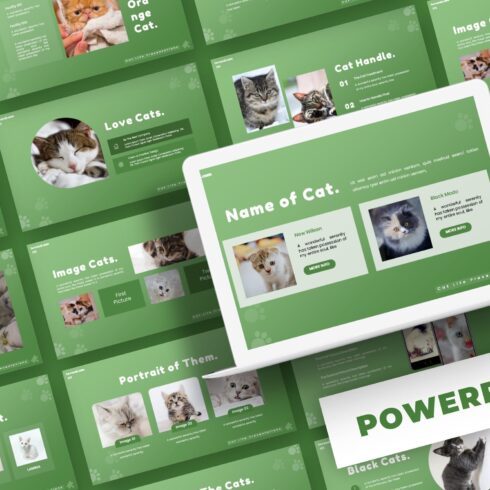 Our Meow Cat - Powerpoint Template | Master Bundles