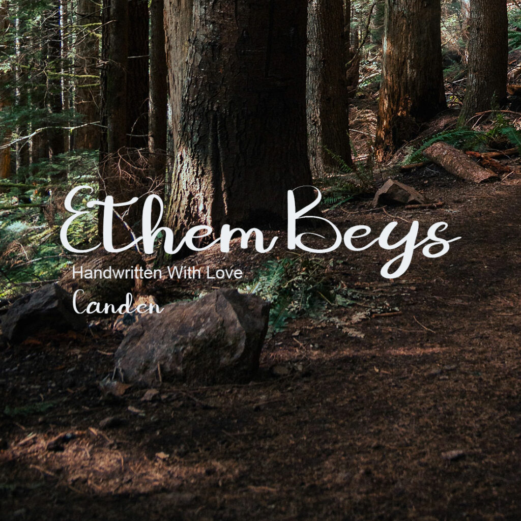 ETHEM BEYS-only$18 - MasterBundles