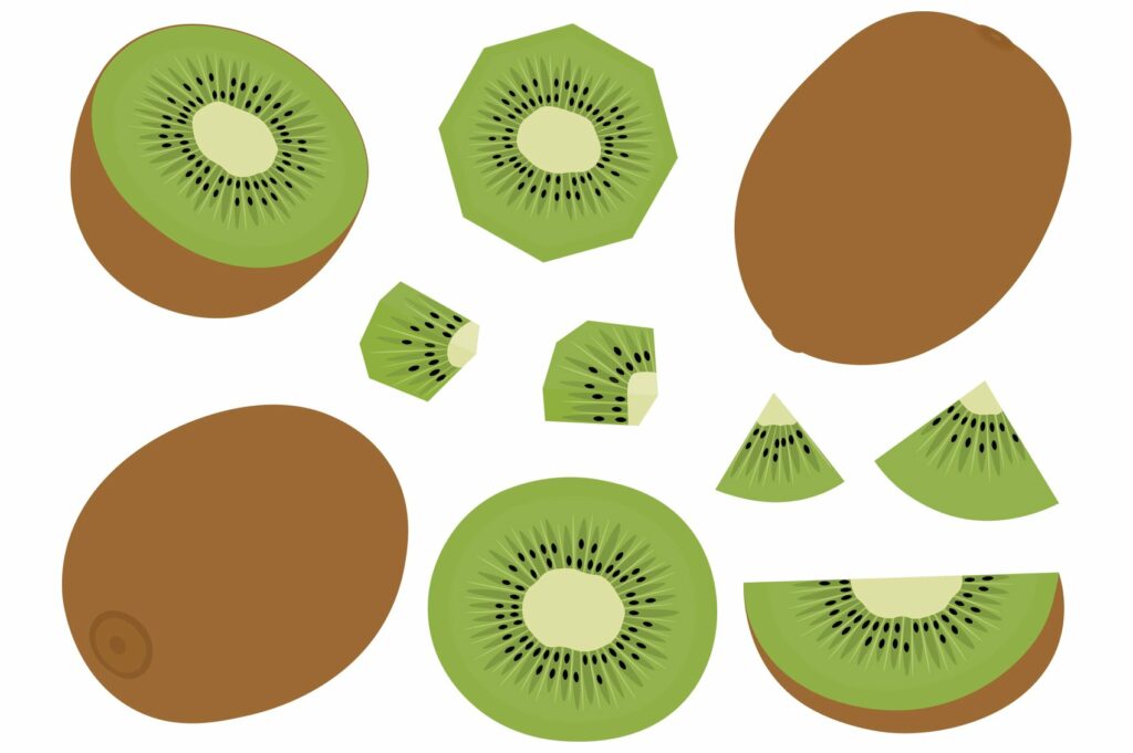 Kiwi Vector. Kiwi Fruits Clipart. Kiwi SVG. Fruits SVG – MasterBundles