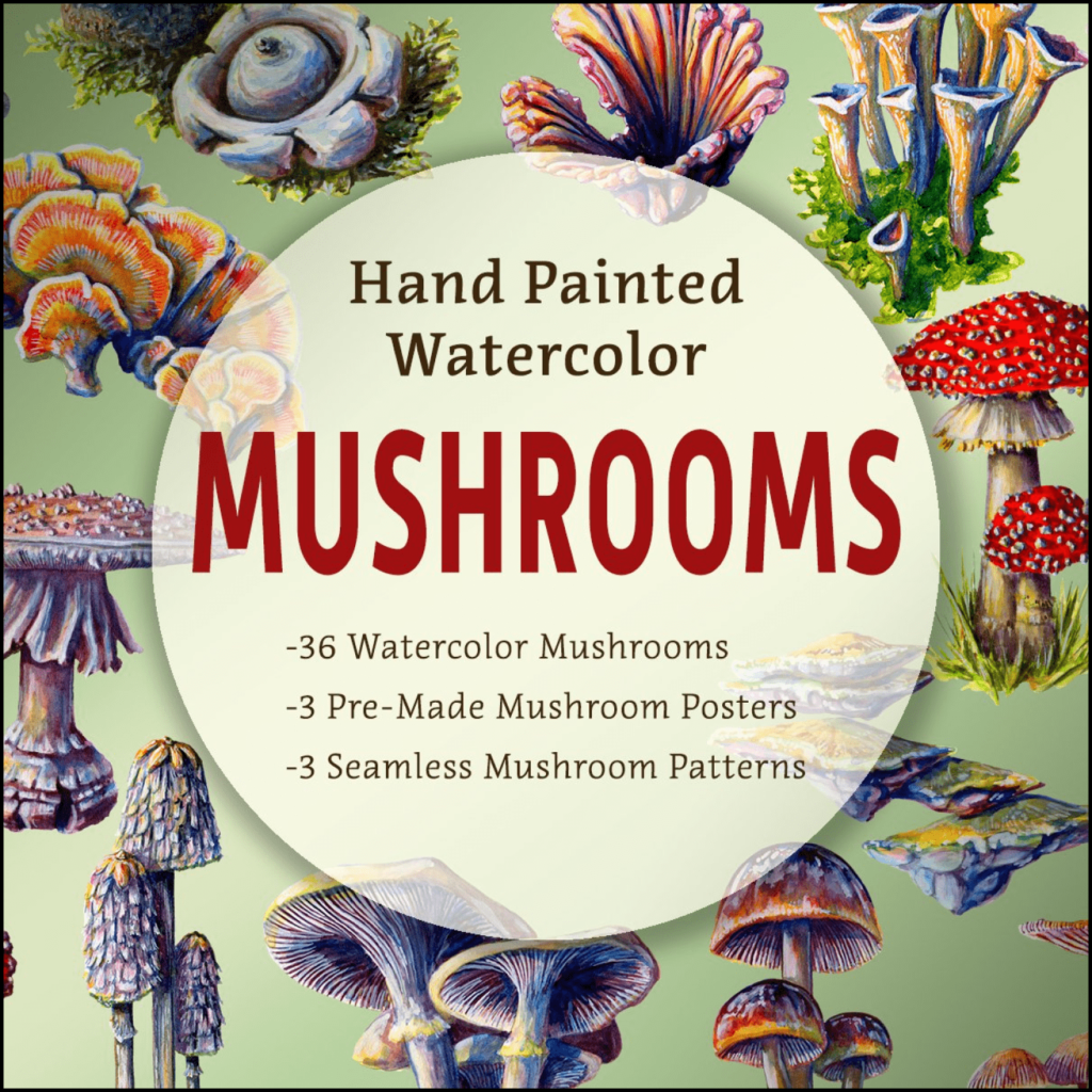 10 Mushroom Editable Clipart Set - MasterBundles