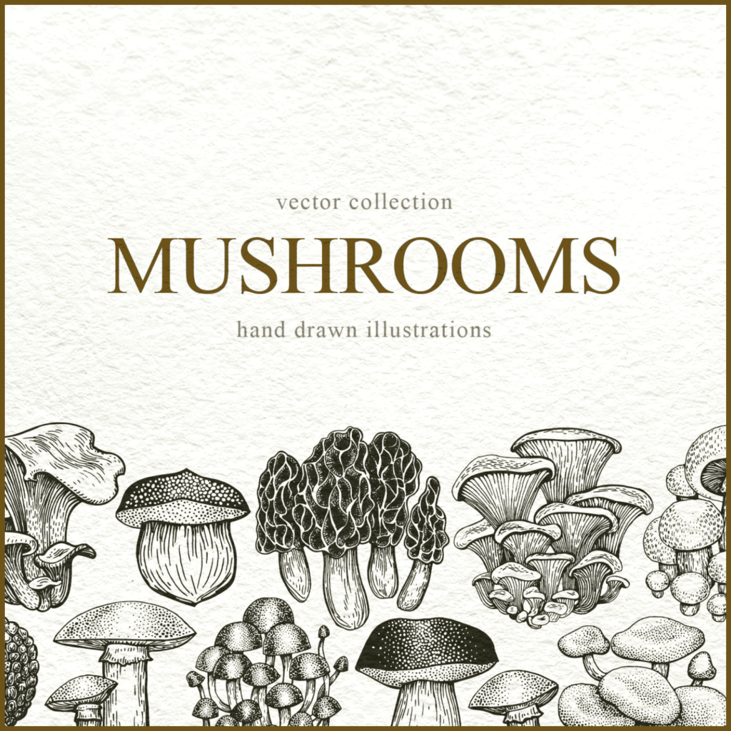 Mushrooms Vector Collection | Master Bundles