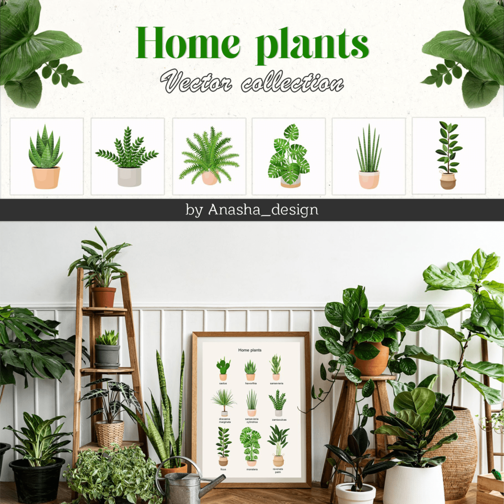 Home Plants. Vector Collection – MasterBundles