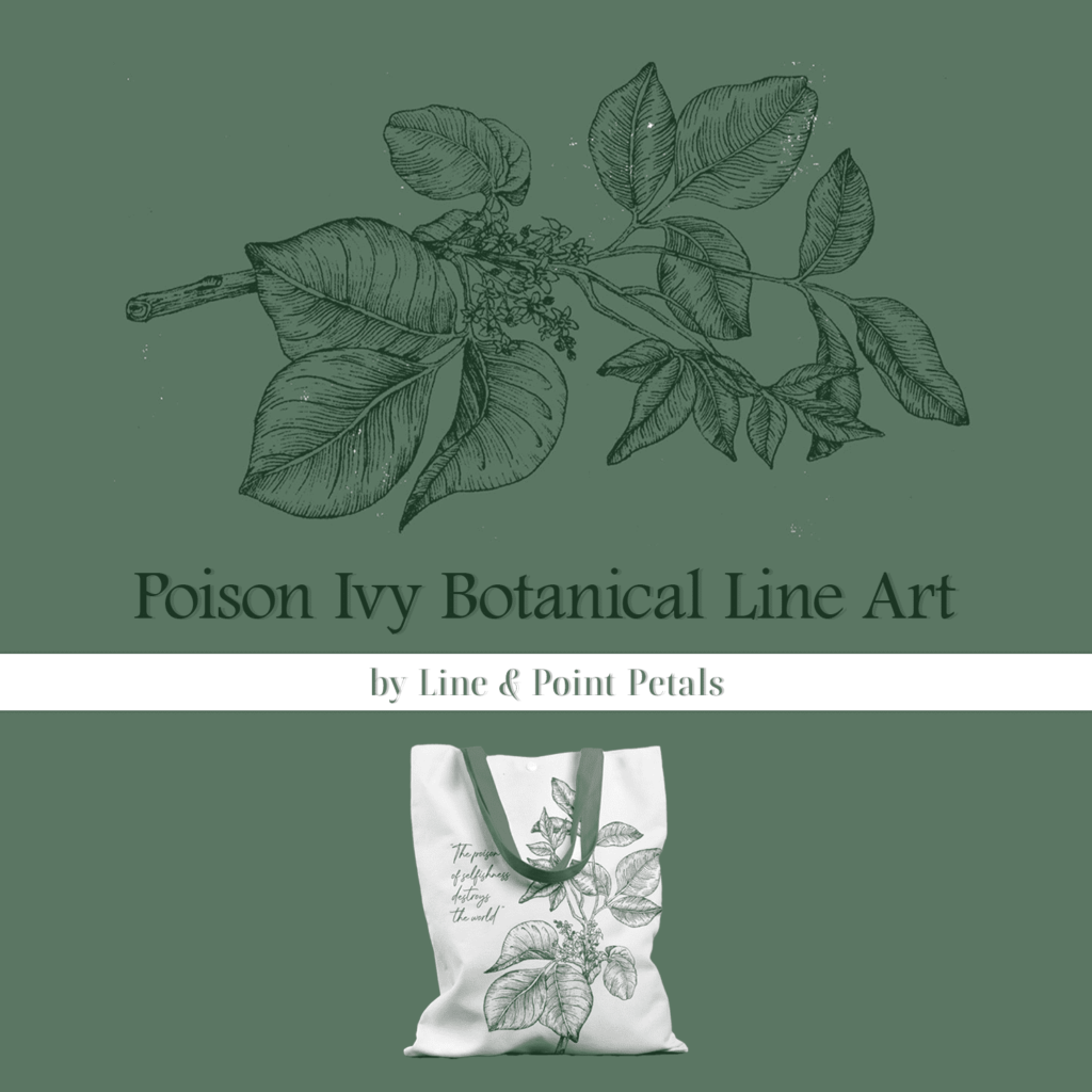 Poison Ivy Botanical Line Art – MasterBundles