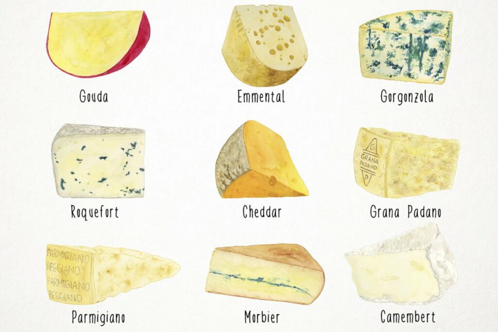 Watercolor Cheeses Clipart – MasterBundles