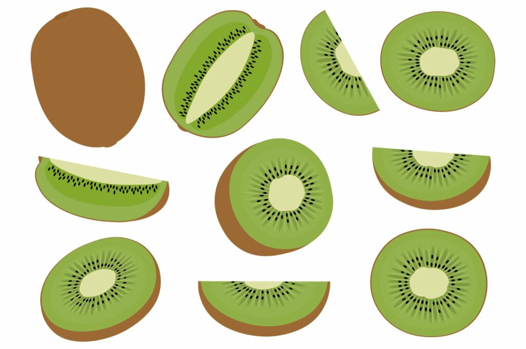 Kiwi Vector. Kiwi Fruits Clipart. Kiwi SVG. Fruits SVG – MasterBundles