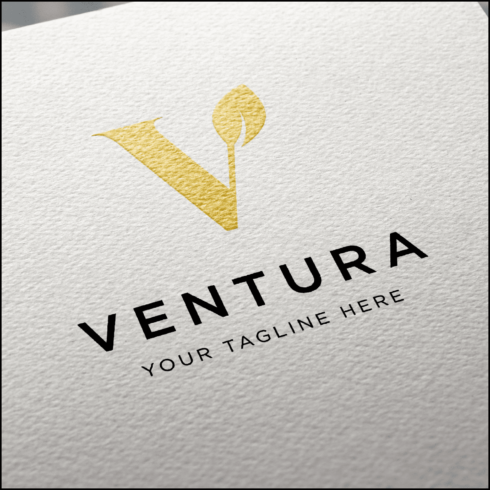 Letter V Luxury Logo – MasterBundles