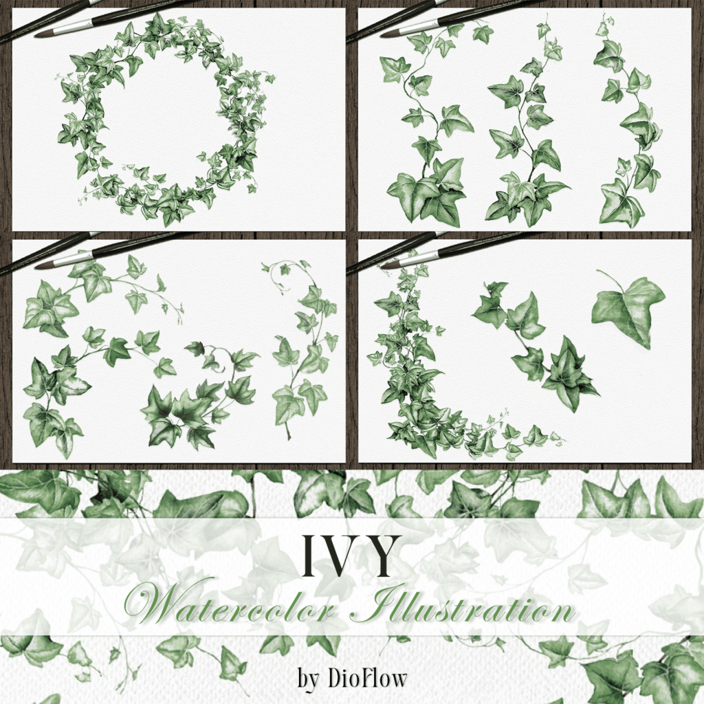 11 Ivy Watercolor Illustrations – MasterBundles