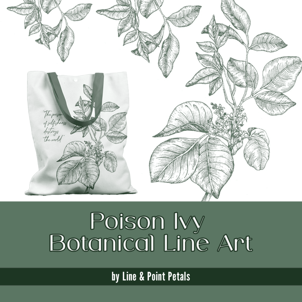Poison Ivy Botanical Line Art – MasterBundles