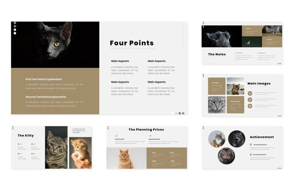 The Cat Lifes - Powerpoint Template – MasterBundles