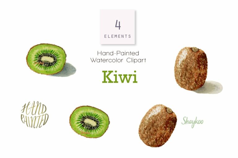 Kiwi Fruit Watercolor Clipart, Whole and Half Kiwi Fruit – MasterBundles