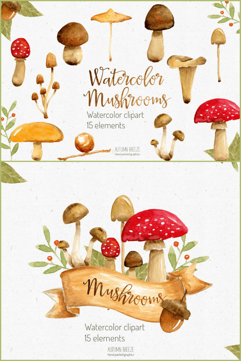 Watercolor Mushroom Clipart PNG – MasterBundles